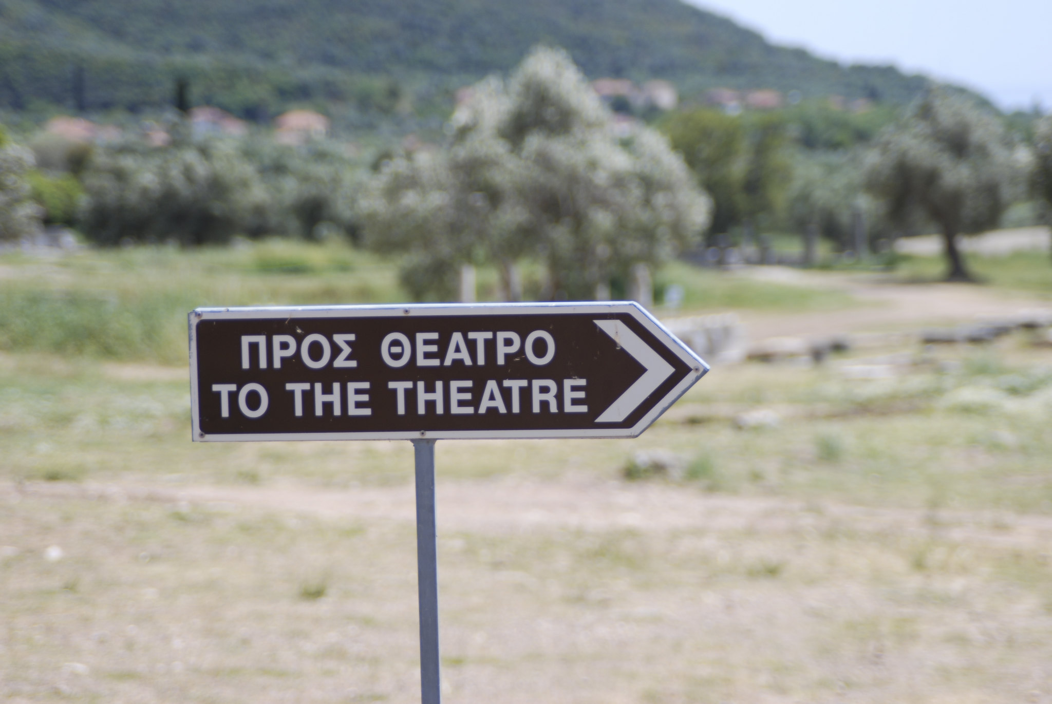 Διάζωμα - ΙΔΡΥΜΑ ΚΑΠΕΤΑΝ-ΒΑΣΙΛΗ και ΚΑΡΜΕΝ ΚΩΝΣΤΑΝΤΑΚΟΠΟΥΛΟΥ
